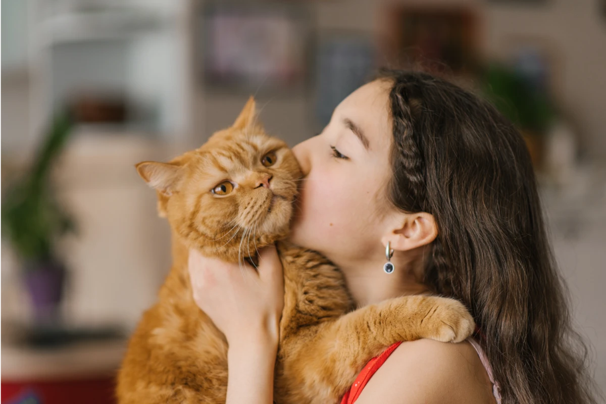 Decoding Cat Behaviors Addressing Common Issues